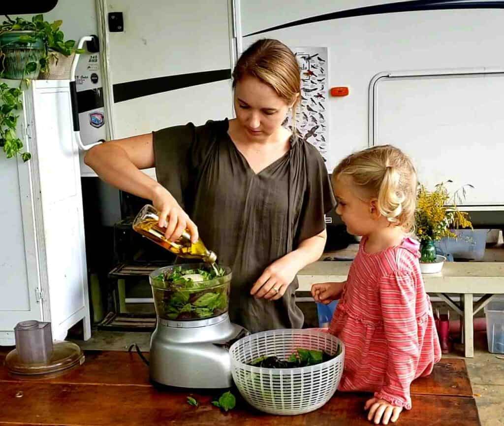 How to Freeze Your Basil Harvest - Farm to Table at Willow Run